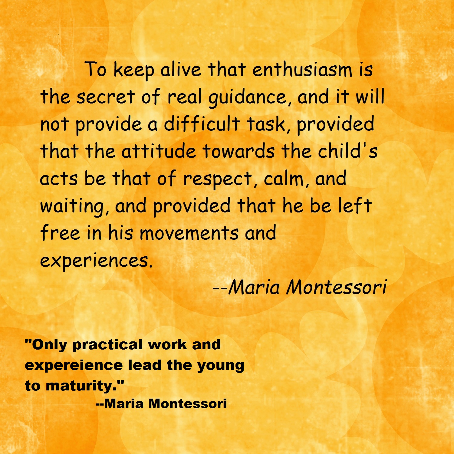 Maria Montessori Quotes On Discipline. QuotesGram